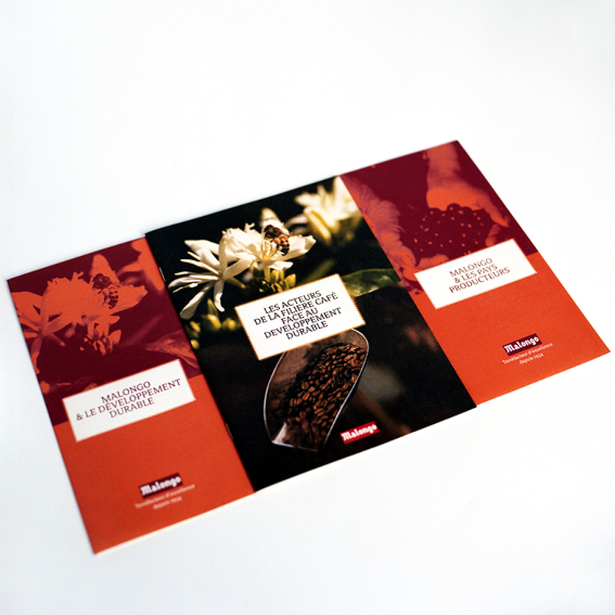 Malongo — fouinzanardi